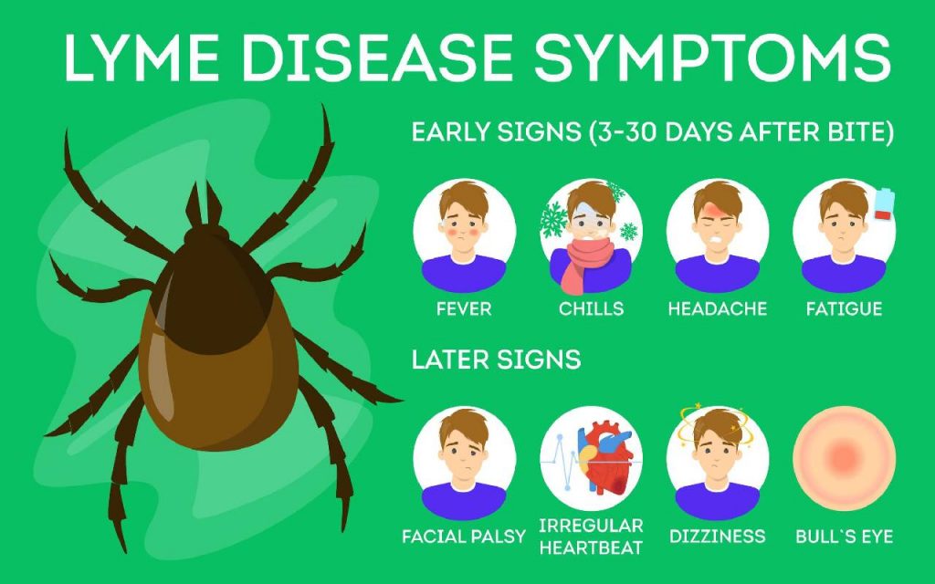 Lyme Disease - Causes, Symptoms, and Treatments - Health2wellness