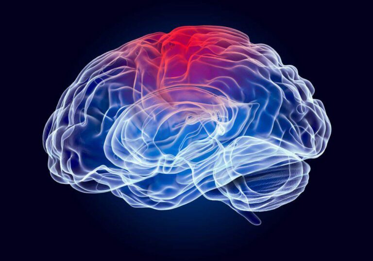 10 Most Common Brain Diseases - Health2Wellness